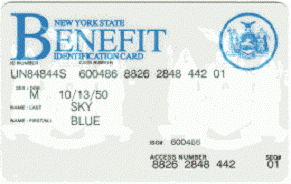 MEVS Provider Manual